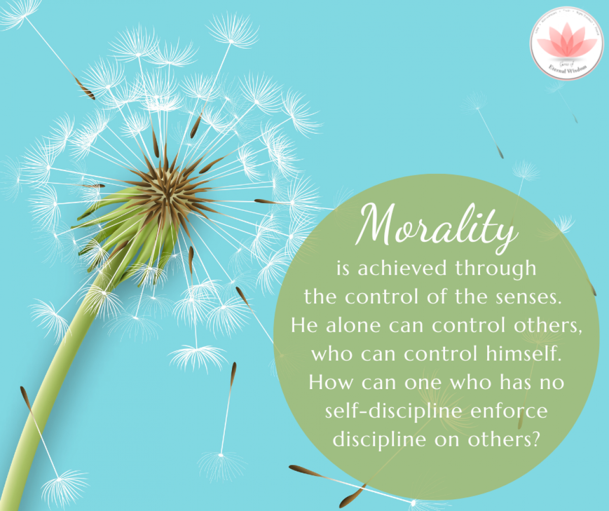 Gems Of Eternal Wisdom - Archive 10 | Gems of Eternal Wisdom